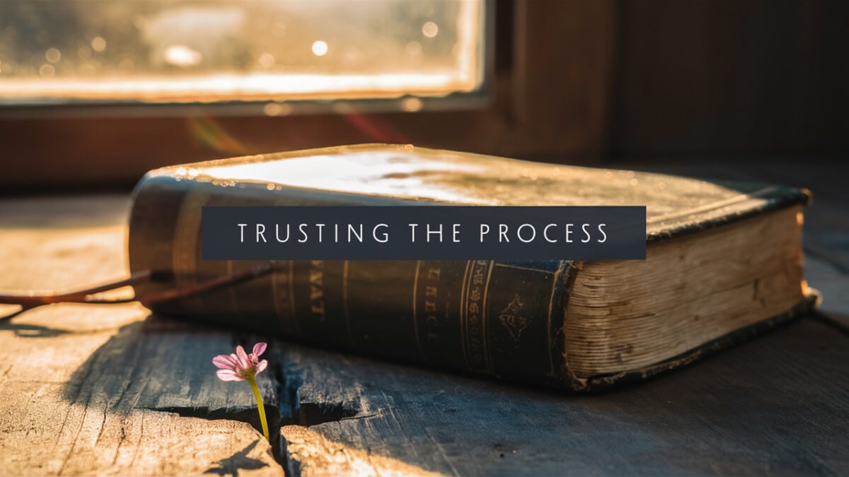 Trusting the Process: 20 Bible Quotes on God's Timing & Plan
