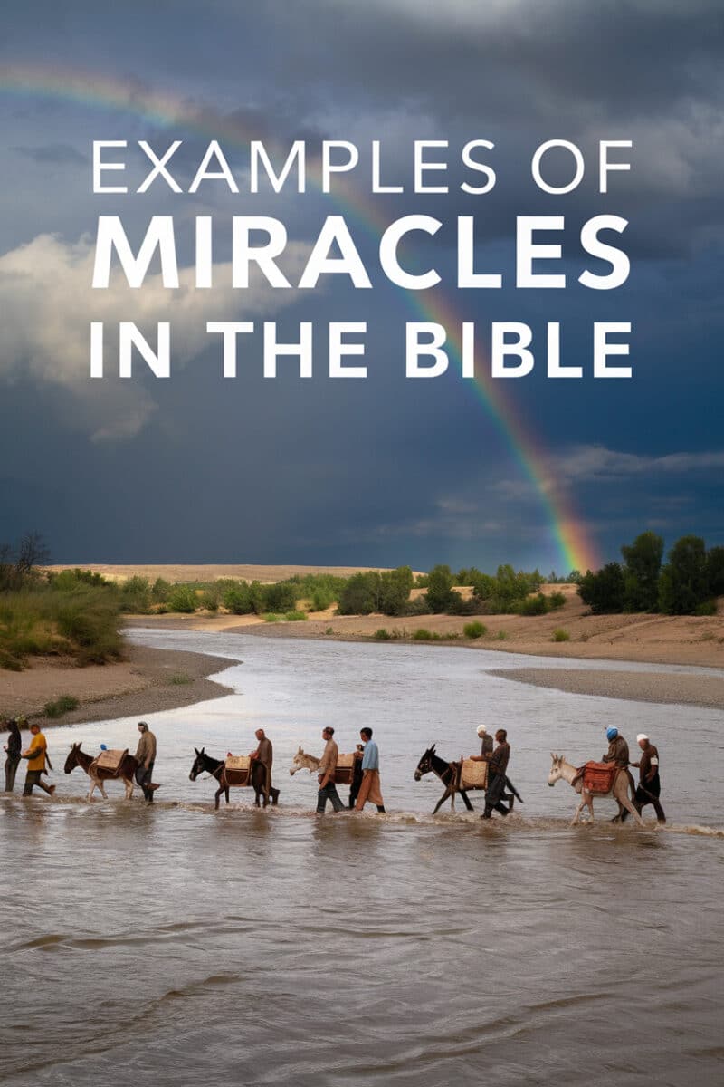 Key Bible Miracles: Examples of God's Love and Power