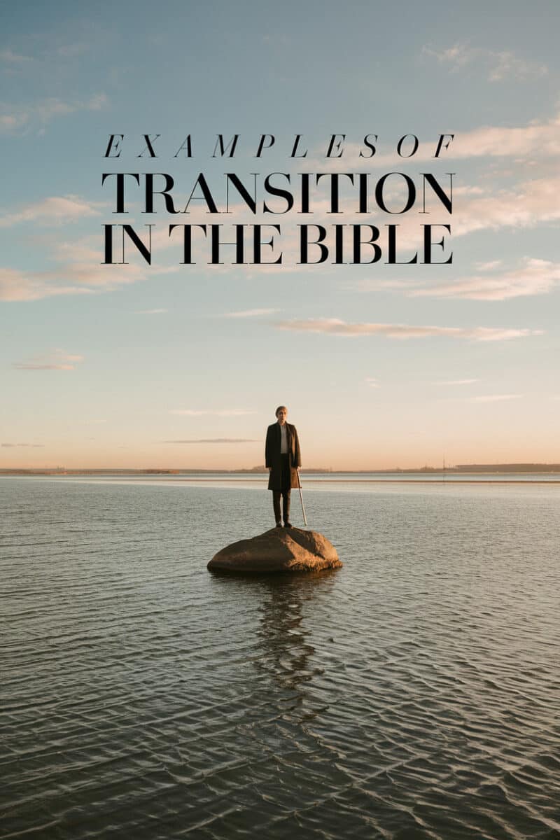 Transformative Bible Transitions You Should Know