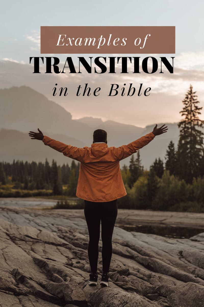 Transformative Bible Transitions You Should Know
