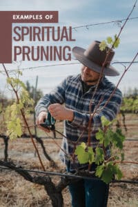 Biblical Pruning: Grow Spiritually with Timeless Examples