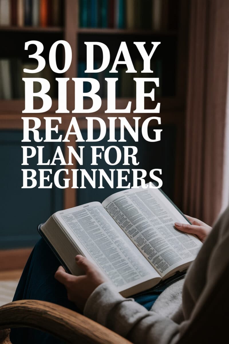 Beginner's Guide: 30 Day Bible Reading Plan for Transformation