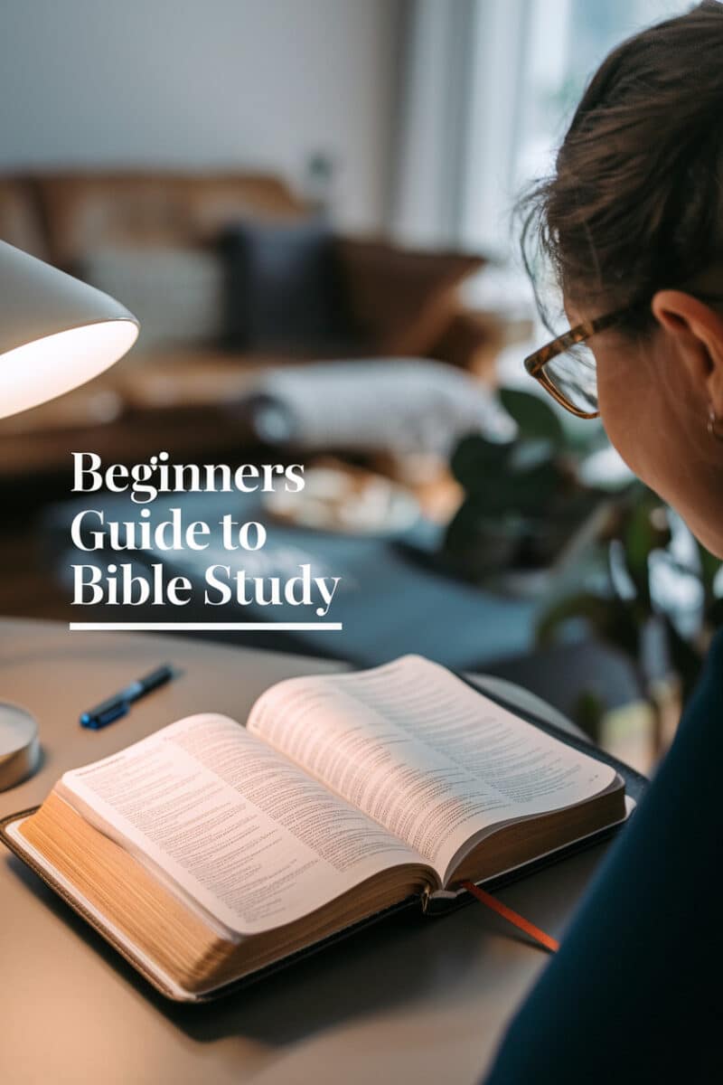Beginner's Guide: Discover Joyful Steps to Study the Bible