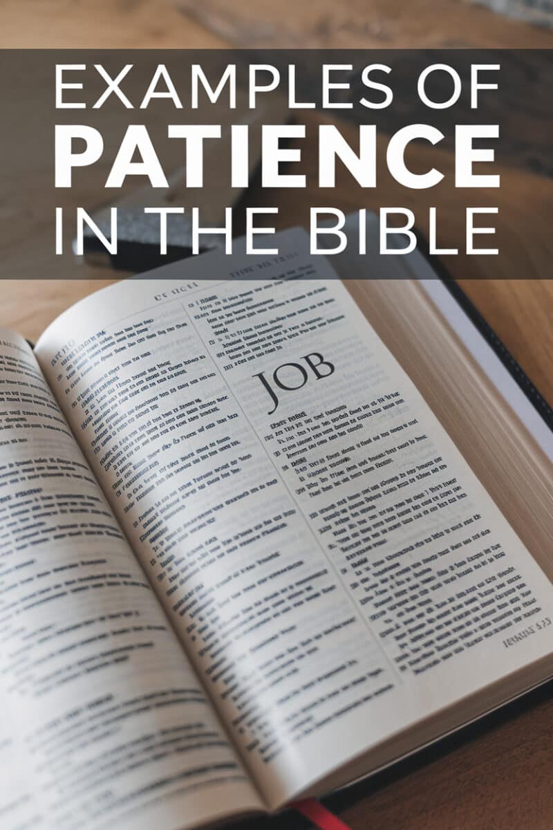 Biblical Stories of Patience: Lessons in Perseverance from Abraham to Jesus