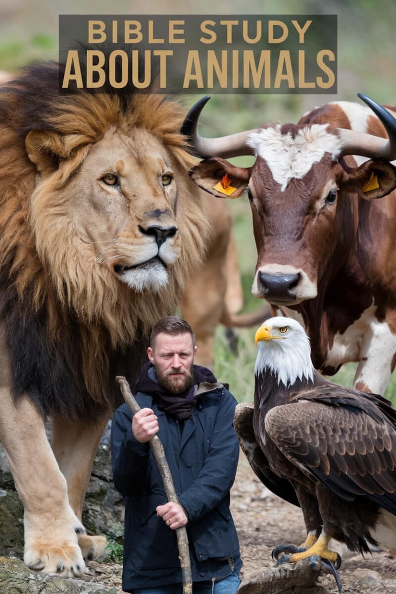 Discover Animals' Spiritual Significance in the Bible