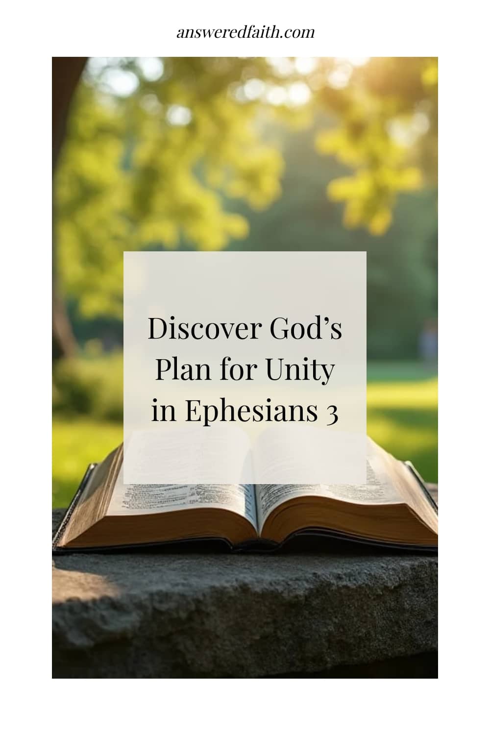 Discover God's Plan for Unity in Ephesians 3