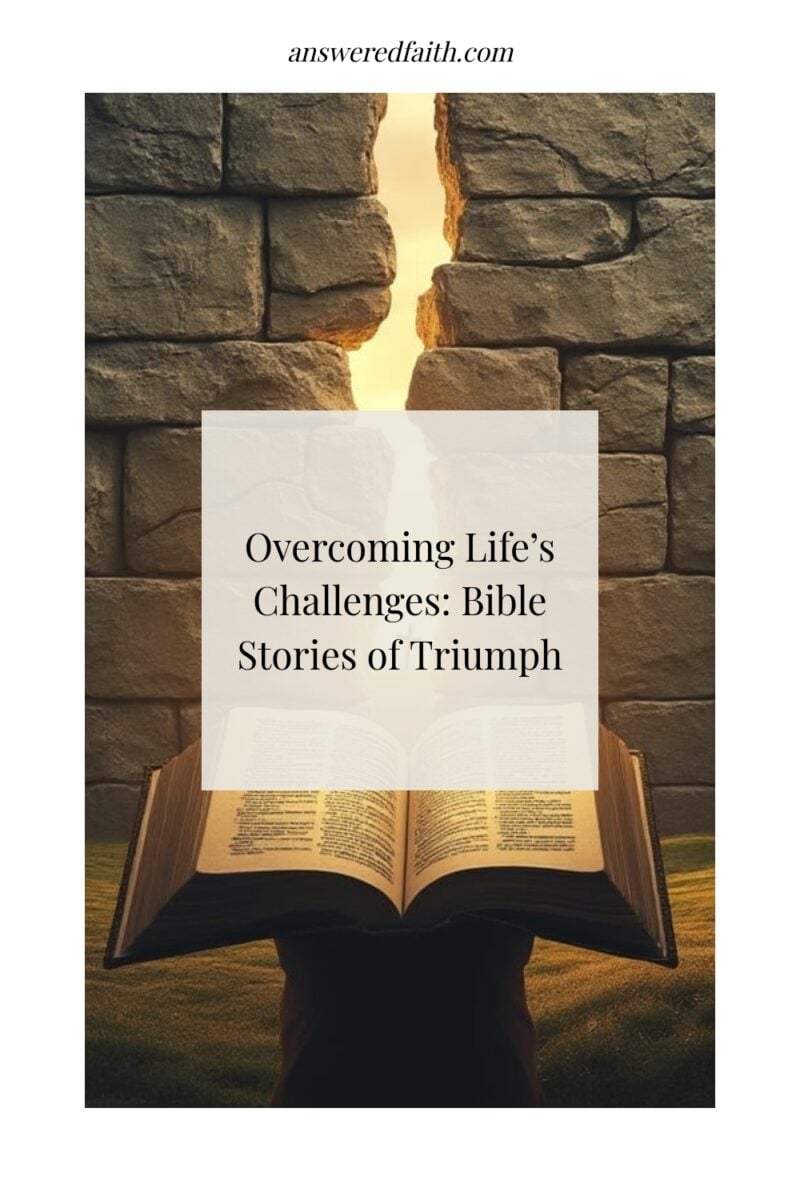 Overcoming Life's Challenges: Bible Stories of Triumph