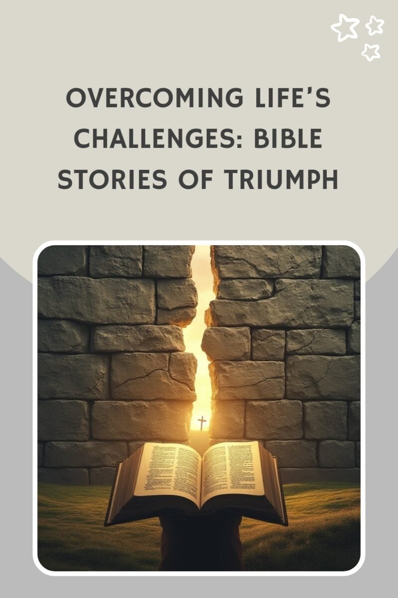 Overcoming Life's Challenges: Bible Stories of Triumph
