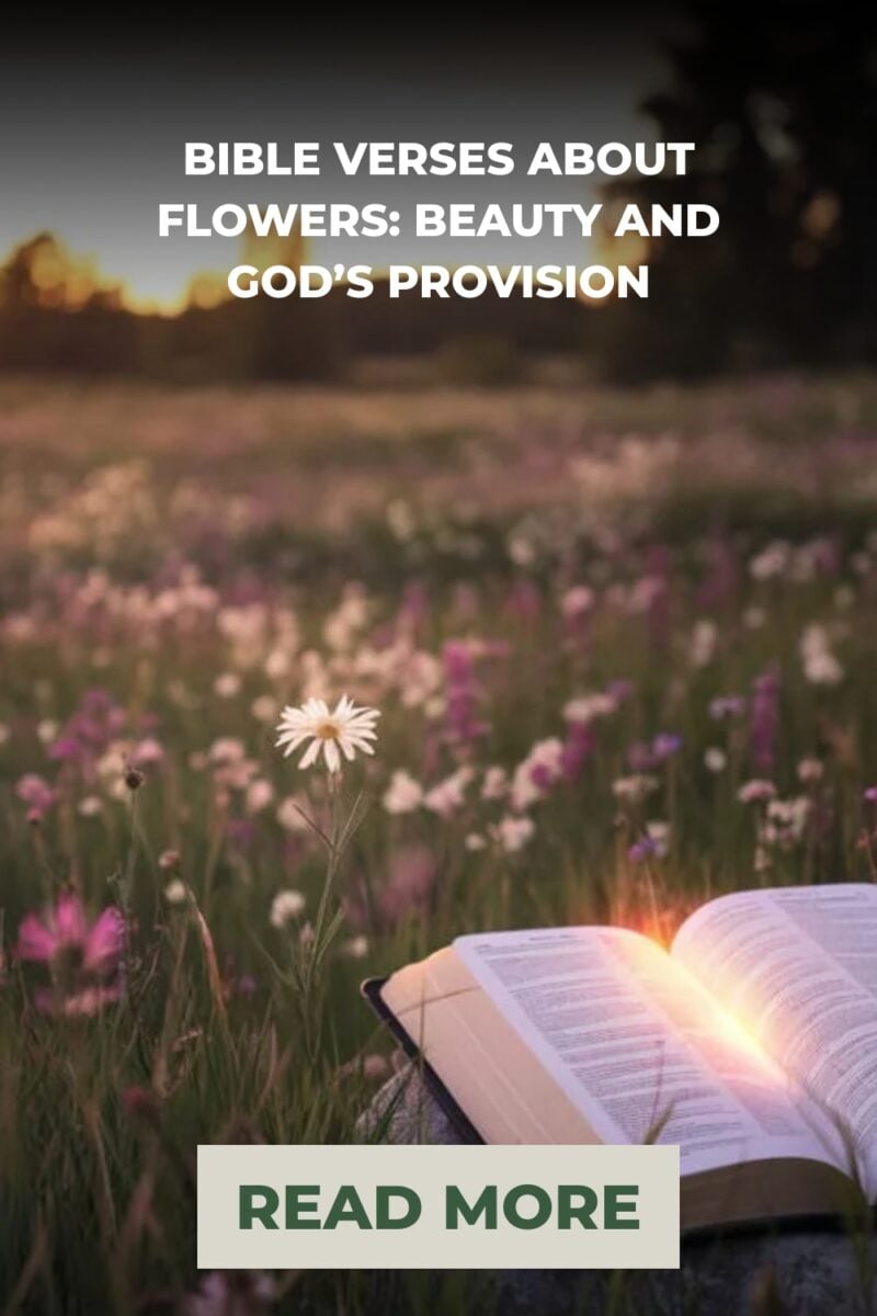 Bible Verses About Flowers: Beauty and God's Provision