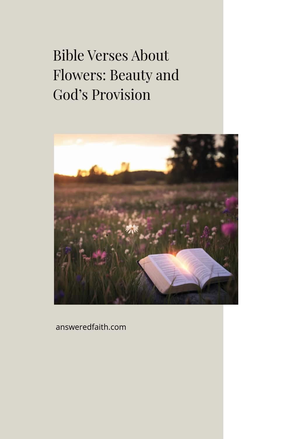 Bible Verses About Flowers: Beauty and God's Provision