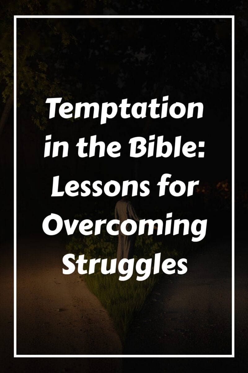 Temptation in the Bible: Lessons for Overcoming Struggles